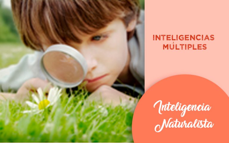 Inteligencia naturalista: recursos y actividades para trabajar la ...